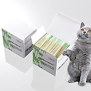 AMRANKUO Bamboo Wooden Toothpicks With Individually Wrapped Package| 2000-Count Round Toothpicks| Good for Small Appetizer,Party,Cleaning Teeth,Cocktail Picks, BBQ, Craft.