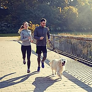 BONISTO Cotton Ankle Socks - 6 Pairs Mens Athletic Low Cut Socks - Soft Sneaker Socks (Medium, White)