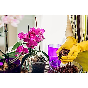 Sun Bulb 5011 Better-Gro Phalaenopsis Mix, 8 Quarts