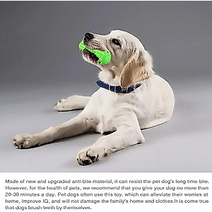 Nico's Friends Interactive Dental Toy for Dogs – Squeaky Puzzle to Clean Teeth and Promote Oral Health – Perfect for Small, Medium, and Large Breeds.