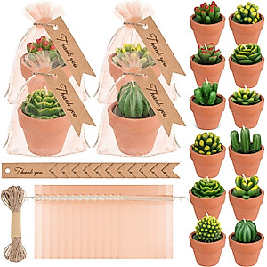 12 Pieces Succulent Candle Mini Cactus Tealight Candles Succulent Party Favors Novelty Fiesta Terrarium Plant Candles with Terracotta Pot Organza Bag Tags Twine for Birthday Wedding Baby Shower Party