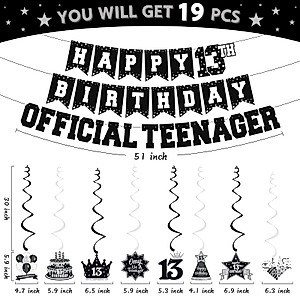 HTDZZI 13th Birthday Decorations for Boys Girls Black White, Pre-Strung Official Teenager Happy 13th Birthday Banner Backdrop Hanging Swirls, 13 Years Old Birthday Party Sign Decor Supplies Kit