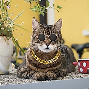 Molain Cat Sunglasses Gold Chain Costume Decorations- Cat UV Protection Classic Retro Puppy Retro Black Sunglasses Faux Gold Adjustable Chain Cosplay Costume Cool Funny Photo Props