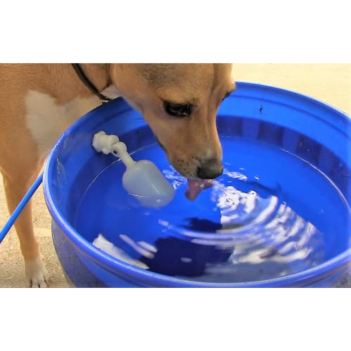Automatic Pet Watering System Bucket Kit - Self-Filling Animal Water Bowl Kit