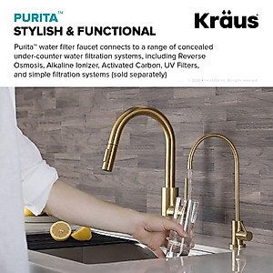 KRAUS Purita 100% Lead-Free Kitchen Water Filter Faucet in Brushed Brass, FF-100BB