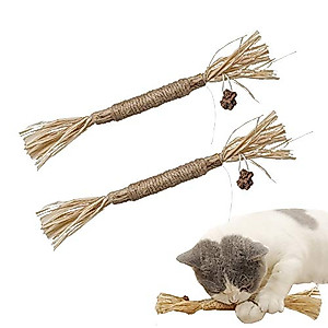 PAZ'S GIFT Catnip Toy Cat Toys Catnip Toy cat chew Toy cat Kicking silvervine Stick Teeth Cleaning Cute Kitten Teething Indoor Interactivecat Dental Care