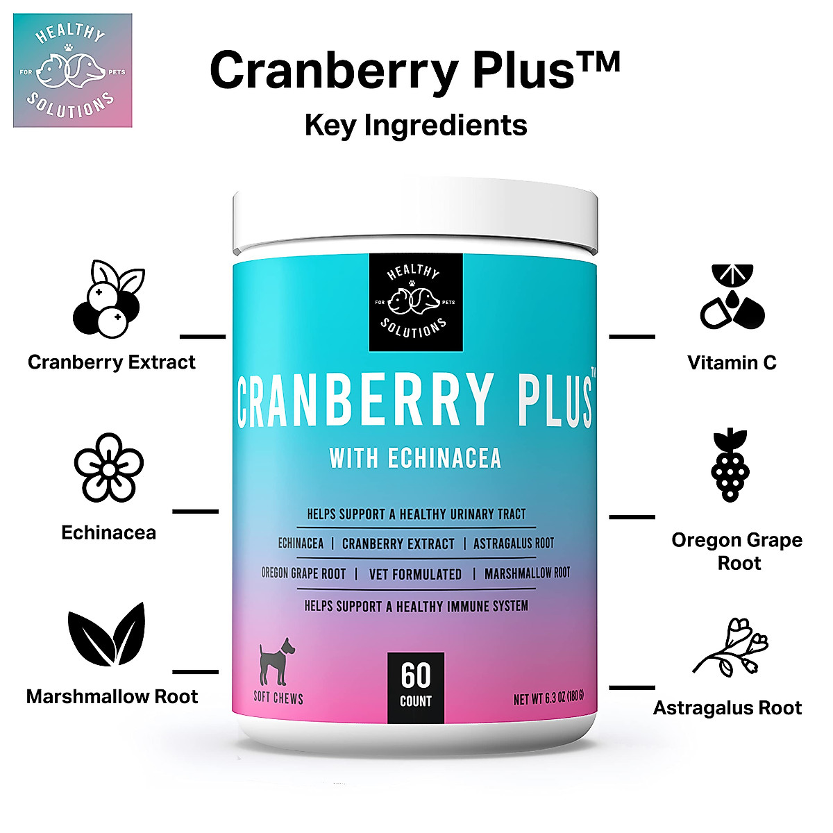 Cranberry Chews for Dogs - UTI, Bladder, Kidney, & Urinary Tract Support - Dog Health Supplements Contain Cranberry Extract, Echinacea, Vitamin C, and Astragalus Root - 60 Soft Treats