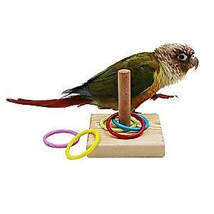YANQIN Parrot Trick Training Toys, Bird Tabletop Toys, Training Stacking Color Ring Toys Sets for Small and Medium Birds Parrots Budgie Cockatiel Parakeet (with 6 Rings)