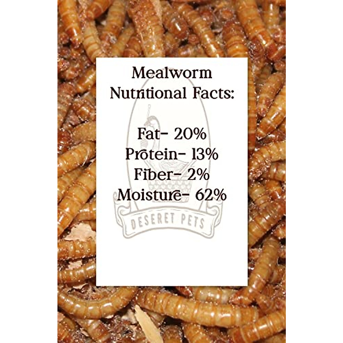 Deseret Pets Live Mealworms 500 Count Large (0.75-1")