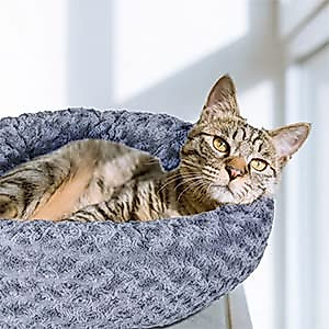 PAWOLOGY Ultra Calming Cuddler Plush Donut Beds, Beanbag Style Ball Bed, Non-Slip Bottom,Washable, for Dogs/Cats/Small Animal, 23 inch, Dark Grey