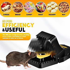 Kittmip 20 Pcs Mouse Traps Indoor for Home Mice Traps for House Small Rat Trap for Indoor Outdoor Reusable Rat Traps Snap Traps Quick Effective Safe Mousetrap for Family and Pet