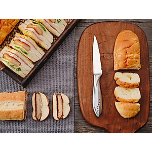 WELLSTAR Utility Knife, 4 Inch Serrated Paring Knife with Super Sharp High Carbon Stainless Steel Blade for Fruit Vegetable Cutting Peeling Slicing – Silver