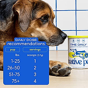 Native Pet - The Daily Dog Supplement - 10 in 1 Multivitamin For Dogs - Tasty Scoop With Dog Vitamins & Supplements - Supplement for Mobility, Energy, Gut, Skin & Coat - 16 Active Ingredients - 3.9 Oz