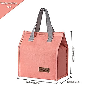 Lunch Bag Insulated, Lunch Box Bag, Reusable Lunch Tote Bag, Lunch Box Container Bag Insulated for Women, Men, Work, Office, Travel - Pink