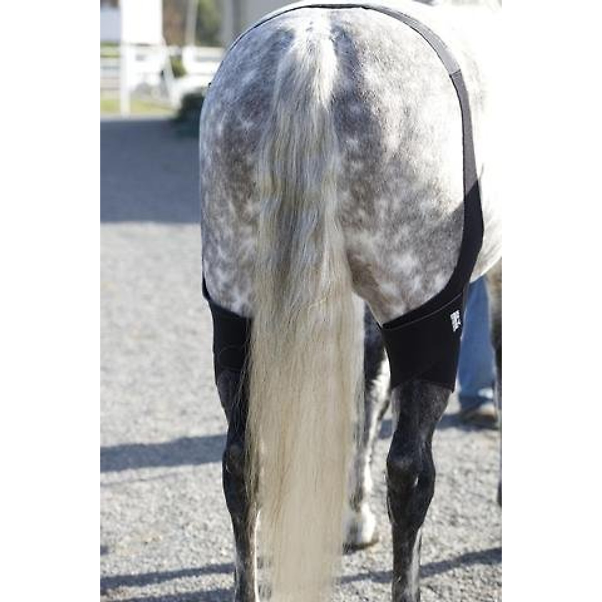 Ice Horse Pony Size Pair Stifle Wrap for Equine Therapy - Comes with 4 Ice Packs