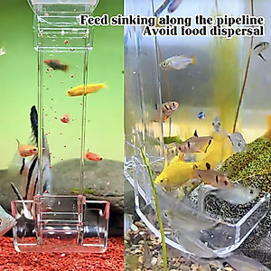 Rainmae Aquarium Fish Shrimp Feeding Dish Set, Transparent Aquarium Fish Feeder Tube Kit, Fish Tank Feeding Supplies with Cleaning Brush Aquarium Fish Tank Feeder and Preventing Food Scattering