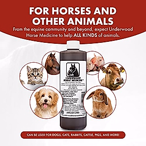 Topical Wound Spray Kit - 16 oz Refill Bottle w/ Baking Powder, Funnel, Spray Trigger, & Shaker - No Sting Antiseptic Spray for Wounds for Faster Healing - Wound Care for Equine and Other Farm Animals