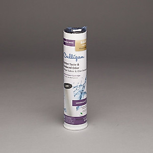 Culligan D-20A Basic Drinking Water Filter Replacement Cartridge, 1 Count (Pack of 1), White