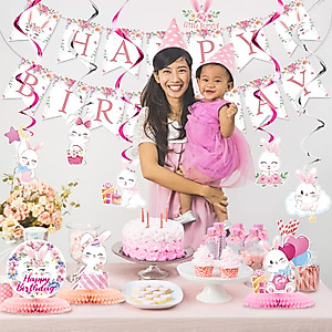 26 Pcs Easter Bunny Birthday Party Decorations Kit Bunny Party Supplies Bunny Birthday Banner Bunny Honeycomb Centerpiece Rabbit Hanging Swirls Cutouts for Girl Baby Shower Party Supplies