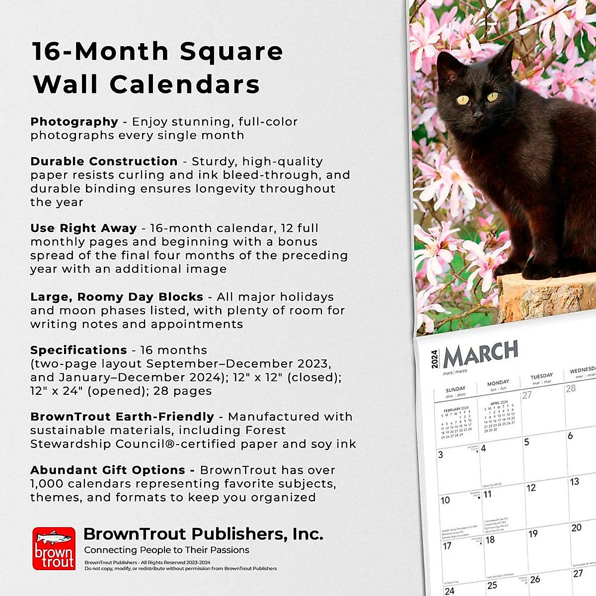 Black Cats | 2024 12 x 24 Inch Monthly Square Wall Calendar | Foil Stamped Cover | BrownTrout | Animals Kittens Feline
