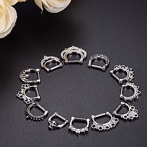 FINREZIO 12 PCS 14G Stainless Steel Nose Rings Hoop Cartilage Earrings Septum Clicker Bull Rings CZ Body Piercing Jewelry (Gauge: 14G=1.6MM)