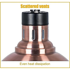 Food Heating Lamp, Hanging Food Warmer for Buffet Restaurant Hotel Kitchen, Retractable Food Warming Lamp Commercial Catering Equipment, 250W Food Heat Warmer Lamp