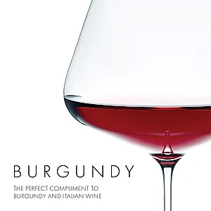 Zalto Denk'Art Burgundy Wine Glass Hand-Blown Crystal