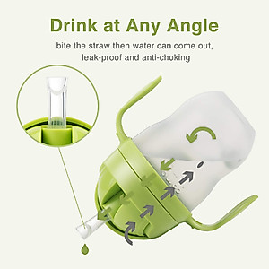 Weighted Straw Sippy Cup Conversion Kit, Compatible for Comotomo Baby Bottle, 5 Ounce and 8 Ounce (2 Packs, Green)