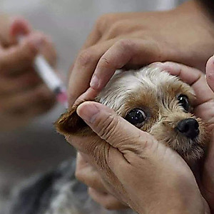 Arrebol 3ml/cc Lab Consumables with Luer Lock 23G1inch Individually Wrapped (25Pack)