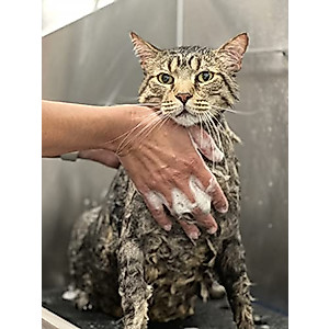 Chubbs Bars Bar - Pet Shampoo Bar for Dogs and Cats - Degreasing Dog and Cat Shampoo That is Gentle and Natural - Green Clover and Aloe Scent - 4 Oz. Bar