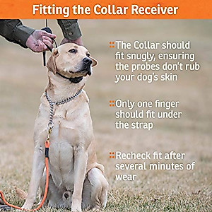 SportDOG Brand Rechargeable In-Ground Fence Systems – from the Parent Company of INVISIBLE FENCE Brand - Underground Wire Electric Fence - Tone, Vibration, & Static - 100 Acre Capability