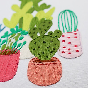 Highkick Embroidery Starter Kits for Adults Beginners with Stamped Pattern, Embroidery Floss + Needles + Hoop, Cactus Series, 3 Pack