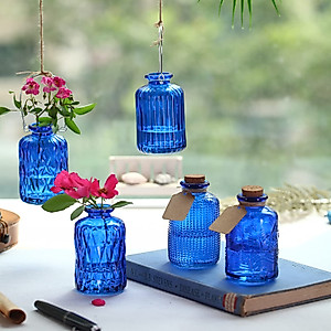 ELEGANTTIME Cobalt Blue Glass Bud Vase Small Flower Vase Mini Bottle with Cork Wire Handle Design for Deco Cafes, Office Table, Home and Garden(Set 5)