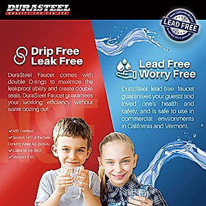 Kitchen Sink No Lead Faucet - DuraSteel 4" Center Wall Mounted Commercial Kitchen Sink Faucet with 3-1/2" Gooseneck Spout - NSF Certified - Dual Lever Handles - Brass Constructed & Chrome Polished