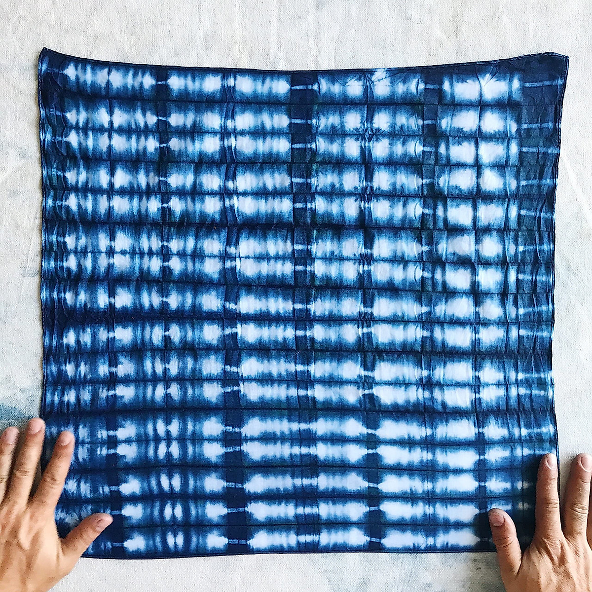 Indigo & Shibori Natural Dye Kit