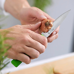 Opinel Les Essentials+ No. 312 Paring Knife, Corrosion Resistant + Dishwasher Safe, Made in France, Green