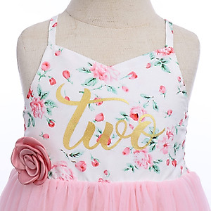 Baby Girl Toddler Kids Second 2nd Birthday Dress Boho Floral Printed Backless Tutu Tulle Maxi Long Dress Two Years Old Party Photo Shooting Clothes Summer Beach Pageant Wedding Bridesmaid Pink Two