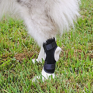 MiMu Rear Dog Leg Brace - 2pk Canine Hock Brace for Small to Medium Sized Dogs - Recovery Dog Hind Leg Support Brace