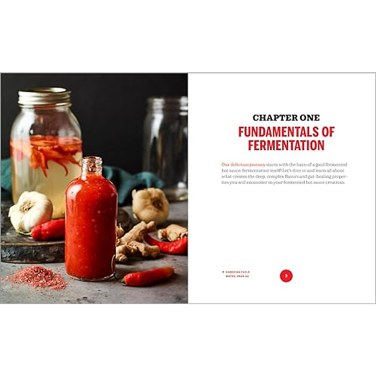 Fermented Hot Sauce Cookbook: A Step-by-Step Guide to Making Hot Sauce From Scratch