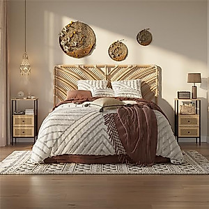 DOVAMY Rattan Nightstand with 2 Drawers, End Table for Small Spaces, Side Table with Storage for Bedroom, Living Room, Dorm, 27.5'' Bed Stand with Open Shelf, Beige BN03B