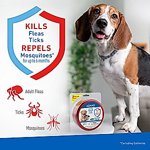 Adams Flea & Tick Collar for Dogs & Puppies |2 Pack |12 Months Protection |Adjustable One Size Collar Fits All Dogs 12 Weeks & Older |Kills Fleas & Ticks |Repels Mosquitoes (excluding California)