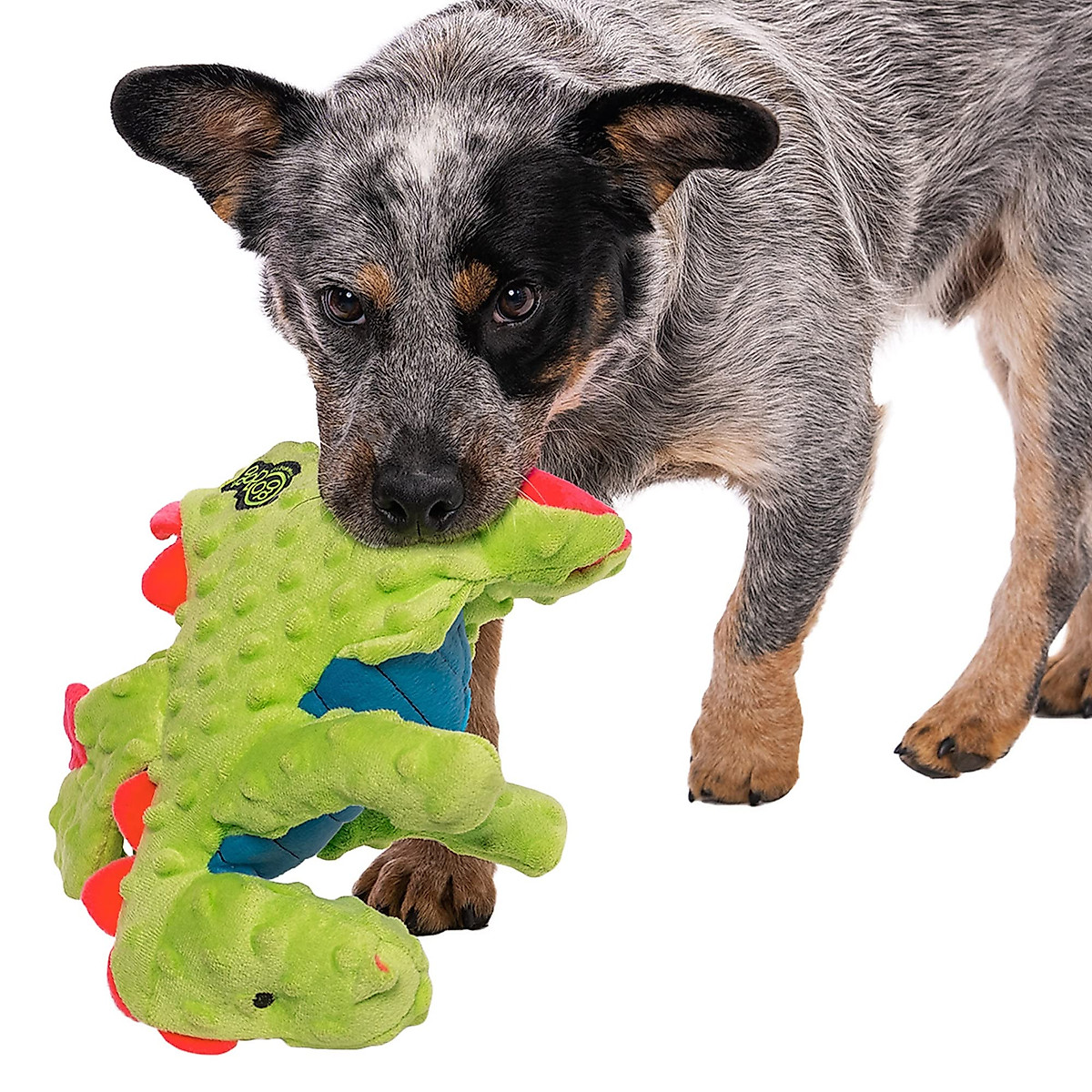 goDog Bubble Plush Dragons Squeaky Dog Toy, Chew Guard Technology - Green, Large