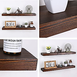 QTSARTISAN Floating Shelf ,Wall Shelf,Decor Wall Mounted Shelves ,Hanging Shelf Set for Bathroom Kitchen Living ,Kitchen,Room Bedroom Storage (17" x 5.9", Dark Walnut)