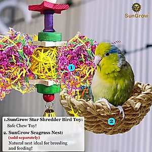 SunGrow Parakeet Toy, Brightly Colored Hanging Toy Made of Rattan, Wood and Shredded Paper, for Small and Medium Parrots, Cockatiels, Lovebirds and Finches (1 Piece)
