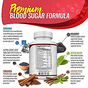 Blood Sugar Complex Supplement – Natural 20 Herbs and Vitamins with Cinnamon, Alpha Lipoic Acid to Support Health, Non-GMO, for Men Women, 60 Capsules