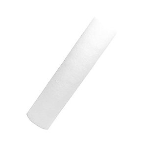 Watts Premier 560035, 5-Micron Sediment Replacement, 2-Pack