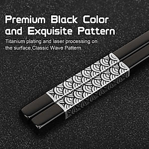 TIICOO Metal Chopsticks Reusable 2 Pairs Titanium Plated Stainless Steel18/8 Chopsticks with Holder, Dishwasher Safe Lightweight Japanese Style Chopsticks Gift Set(Black)