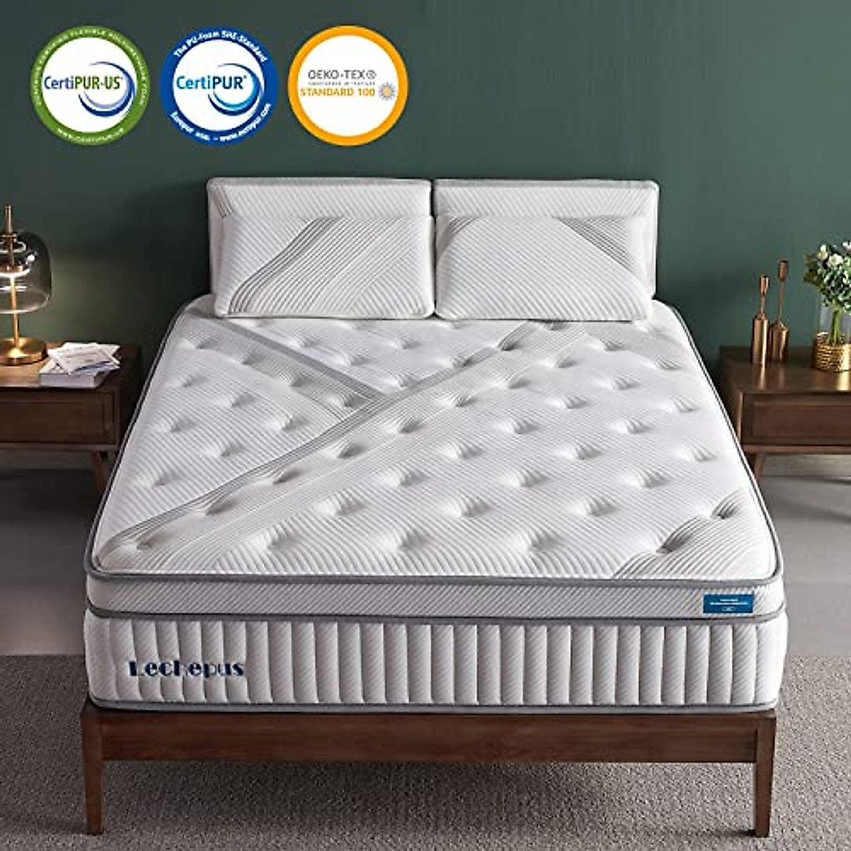 14 Inch Queen Mattress in a Box, Lechepus Plush Memory Foam Hybrid Mattress with Pocket Innerspring, Soft But Supportive Mattress for Pressure Relief, Queen Size 60"*80"