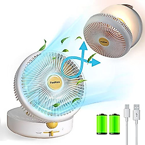feekaa USB Fan, 8-Inch Oscillating Desk Fan, Small Wall Mounted Fan with Night Light, Rechargeable Battery Operated, Variable Speed, Quiet Fan for Outdoor/Travel/Camping/Office
