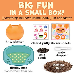 Creativity for Kids Plant-A-Pet: Kitty - Arts and Crafts for Ages 6-8+, Gifts for Girls and Stocking Stuffers, Boy and Girl Toys, Chia Seed Plant Pet